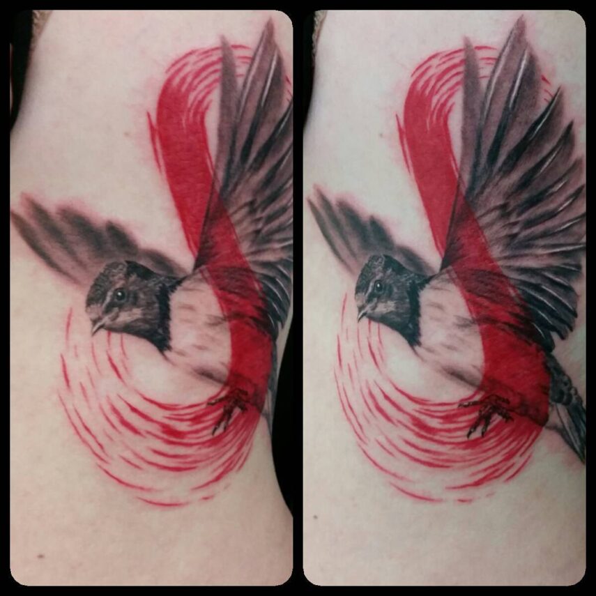 Justin Brewer - Nightfall